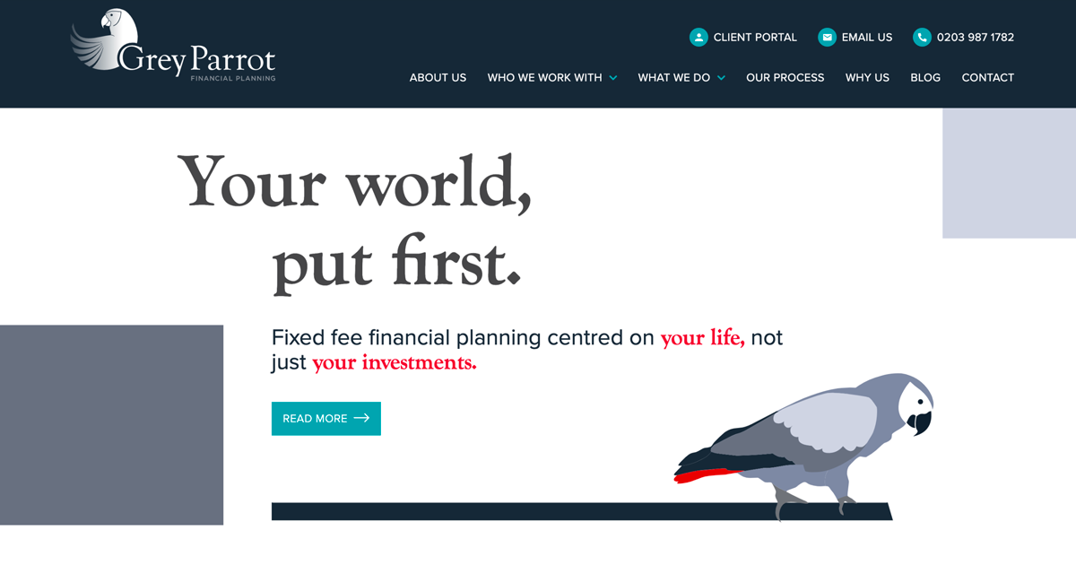 Tim Mottram - Grey Parrot